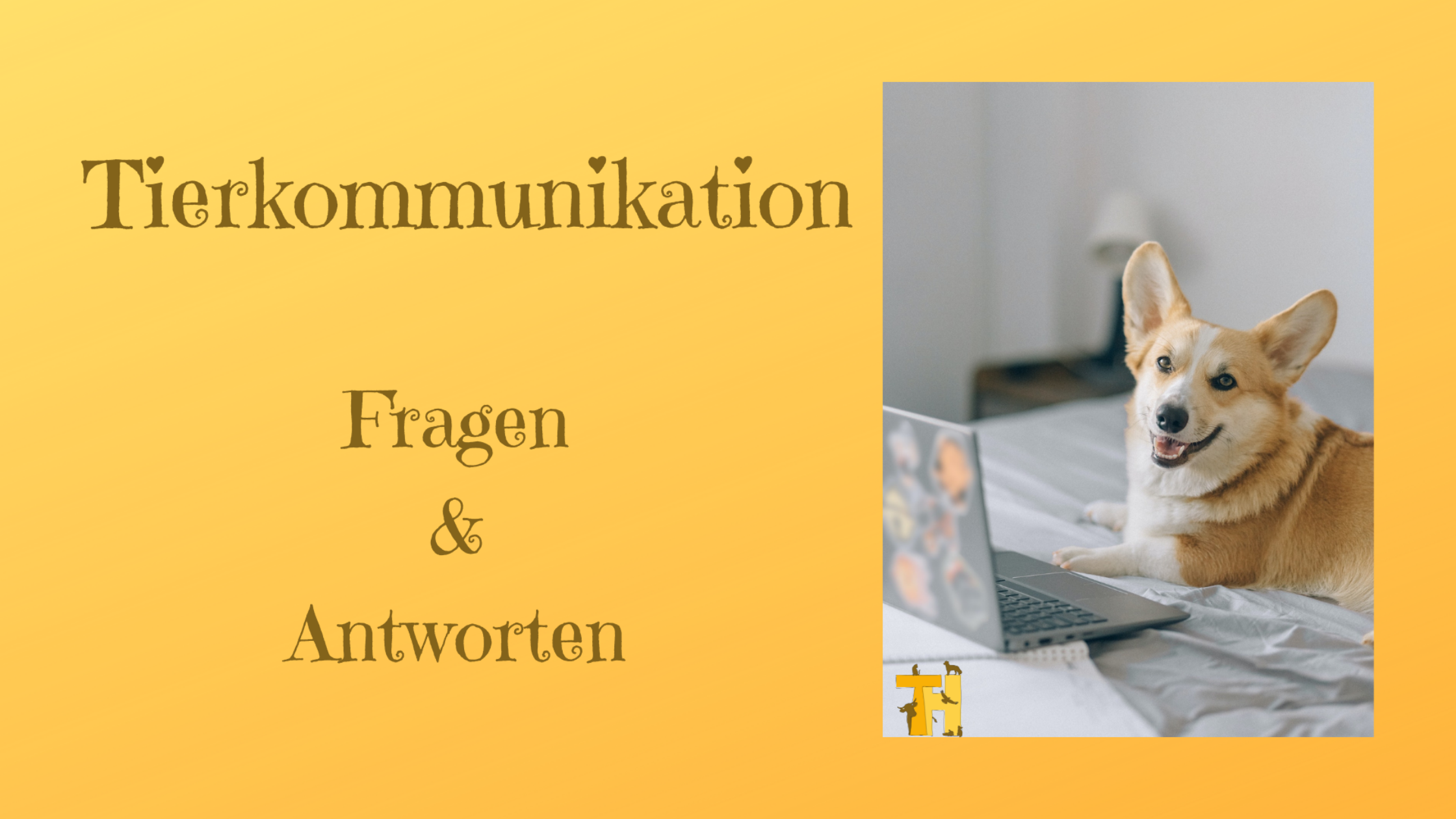 Tierkommunikation - Fragen und Antworten - tiere-anders-behandeln.de