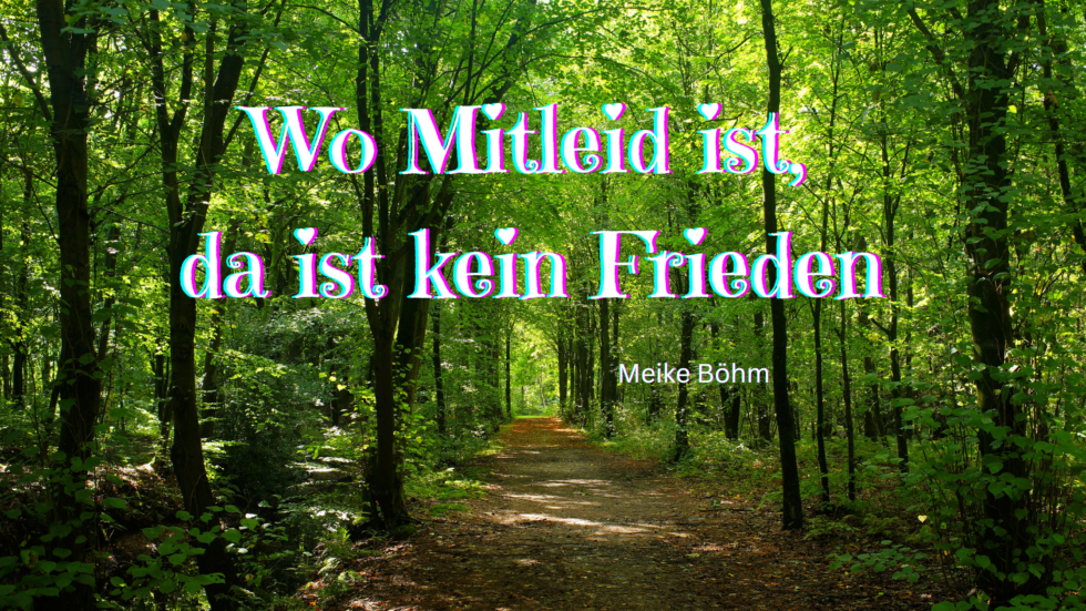 Tierische Beziehungsfrage - Wenn Mensch und Hund JA zueinander sagen ...