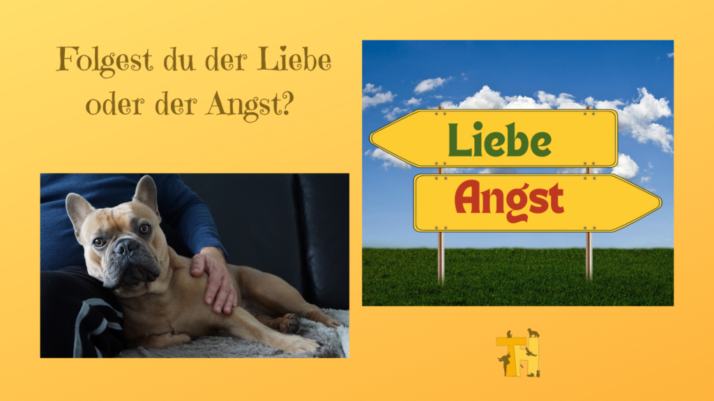 Leben mit Tieren und die Kraft von Intuition, Liebe und Angst - tiere ...