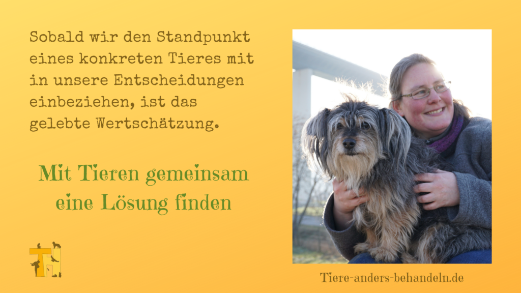 Begleitung wenn das Tier da ist - tiere-anders-behandeln.de