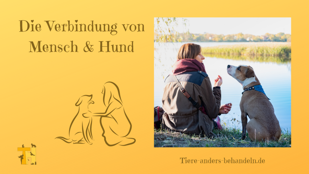 Die starke Verbindung von Mensch und Hund - tiere-anders-behandeln.de